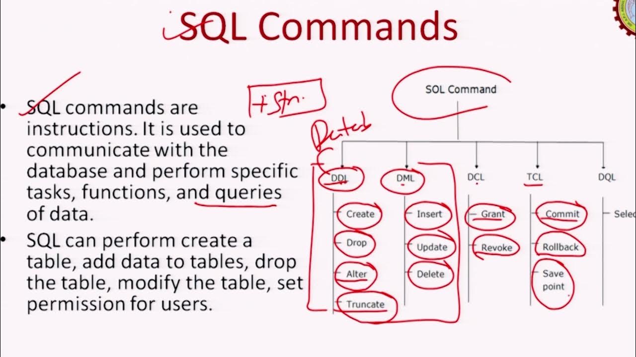 Database Language, SQL, DDL - YouTube