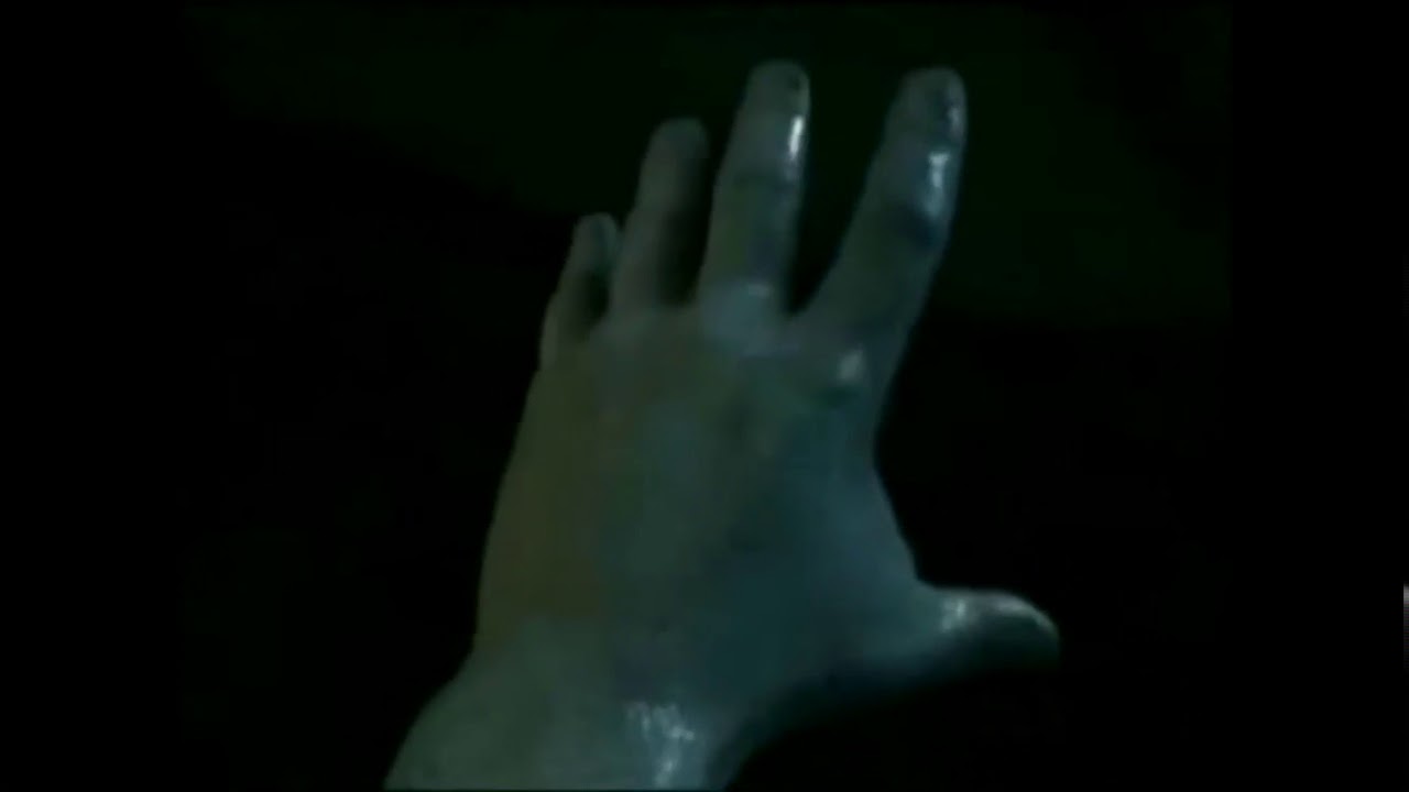 Dolphin transformation (normal and reversed) - YouTube