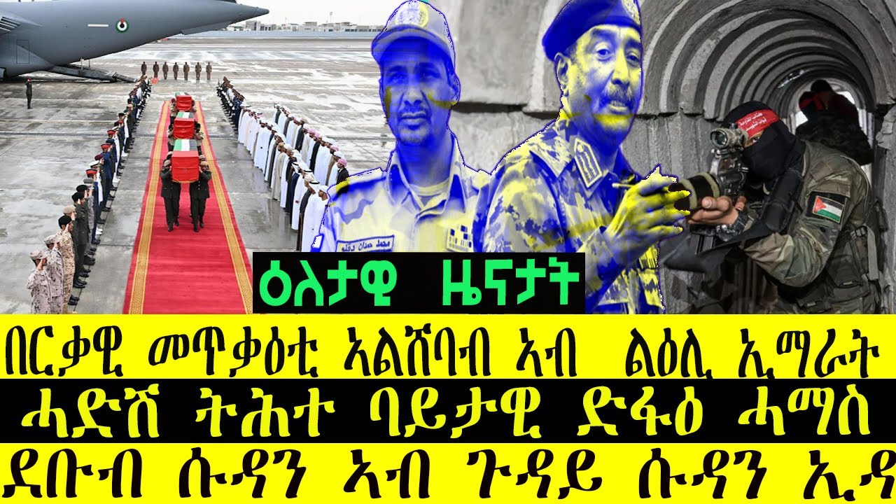 ዕለታዊ ዜናታት ትግርኛ ሰንበት 11 February 2024 - YouTube