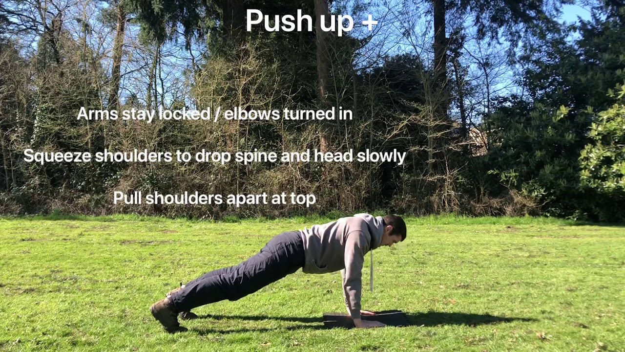 Scapular Push up instructional - YouTube