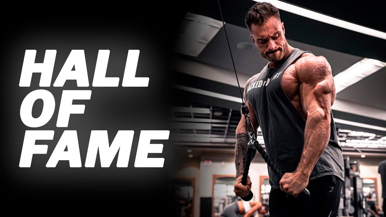 HALL OF FAME 🥇 GYM MUSIC MOTIVATION 2023 | 4K - YouTube