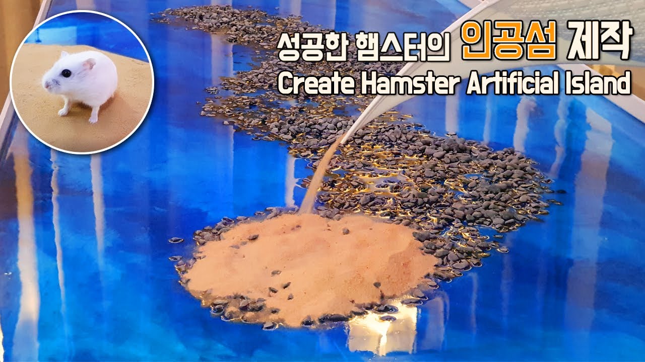 햄스터 초대형 인공섬 테마파크 만들기 프로젝트 #1 How to make Hamster Large Artificial ...