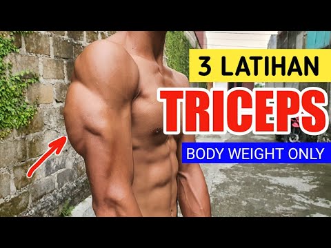 3 cara Latihan TRICEPS | body weight only - YouTube