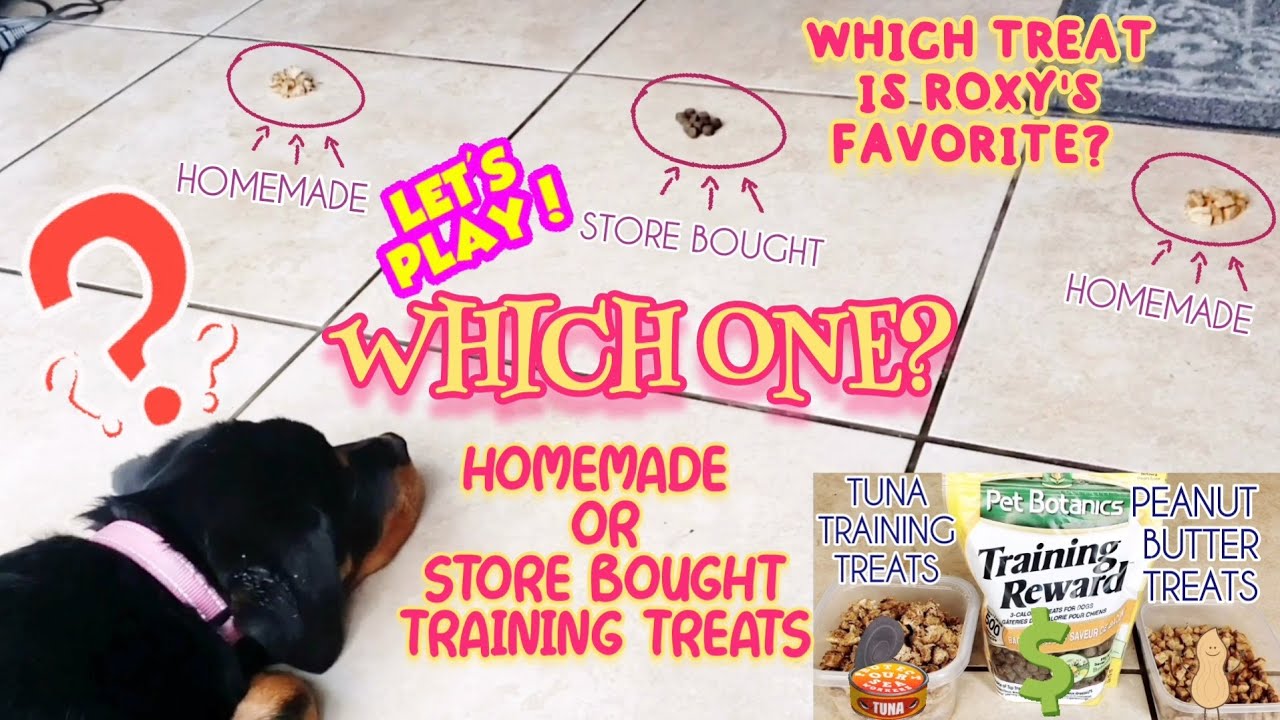 HOMEMADE vs. STORE BOUGHT Treats - YouTube