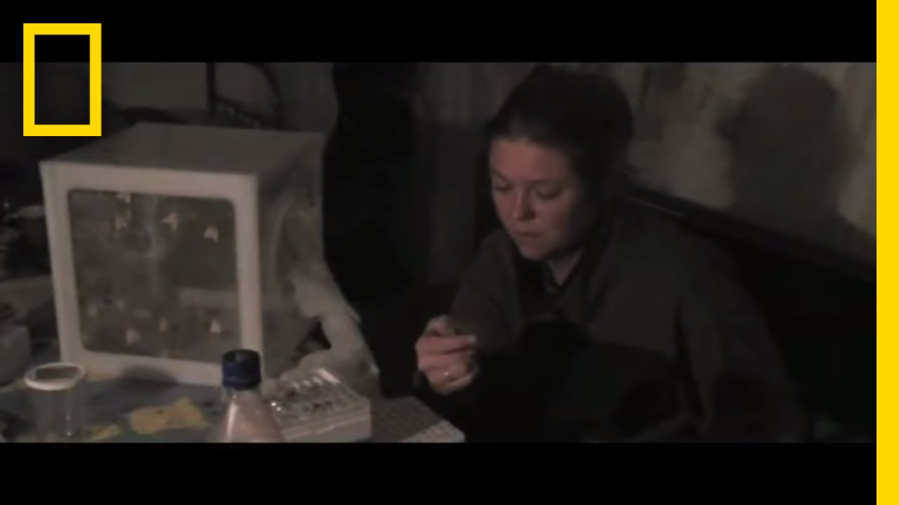 Vampire Moths Discovered | National Geographic - YouTube