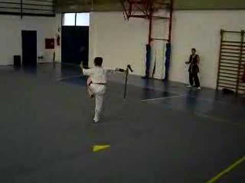 Claudia Palmiotta Wushu Spada - YouTube