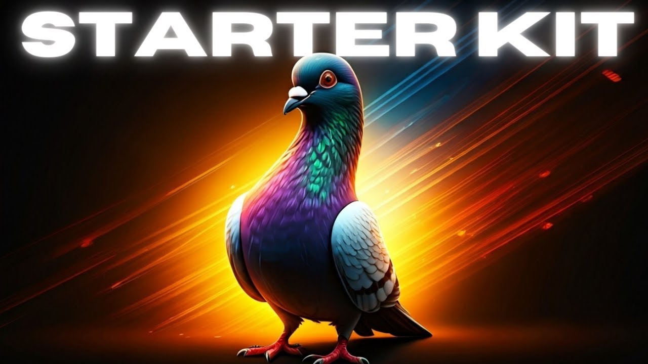 Ultimate Pigeon Training Starter Kit - YouTube