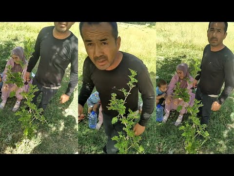 ZAPAL BO'LDI, AYTISHIGA QARAGANDA XOTINI IMUSH. YANGI O'ZBEKCHA PRIKOLLAR