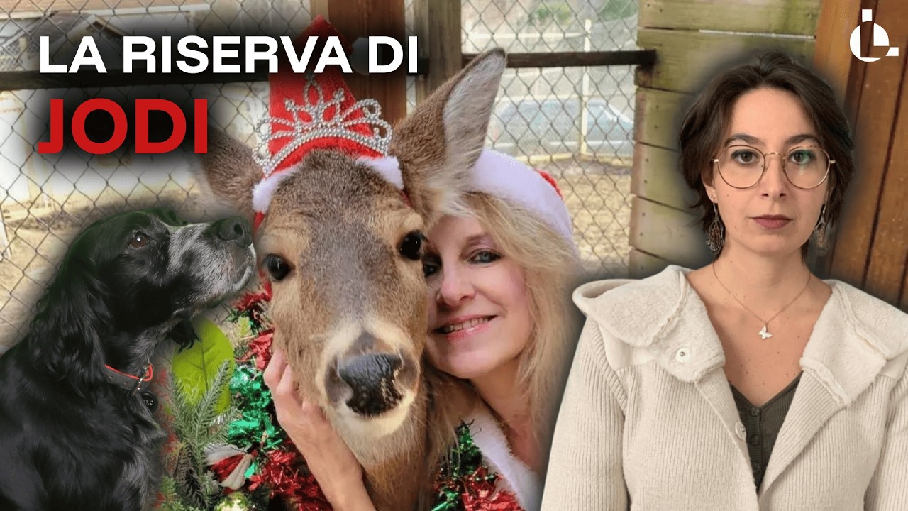 Jodi Proger - Uccisa da un cervo - YouTube
