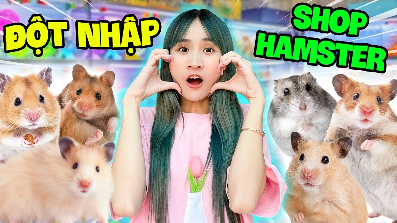 Chuột Hamster Giá Bao Nhiêu Tiền | Đột Nhập Shop Hamster - Vê Vê Animal - YouTube