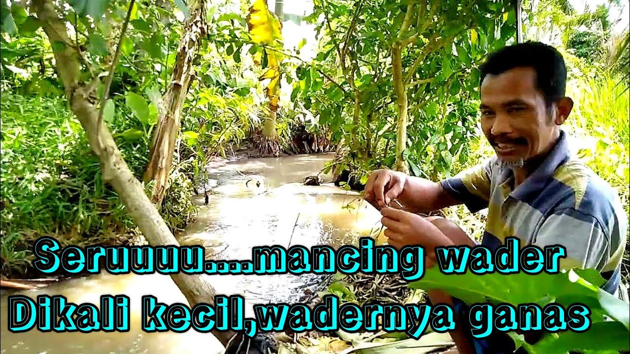 Mancing Ikan Wader | Mancing Wader Kali - YouTube
