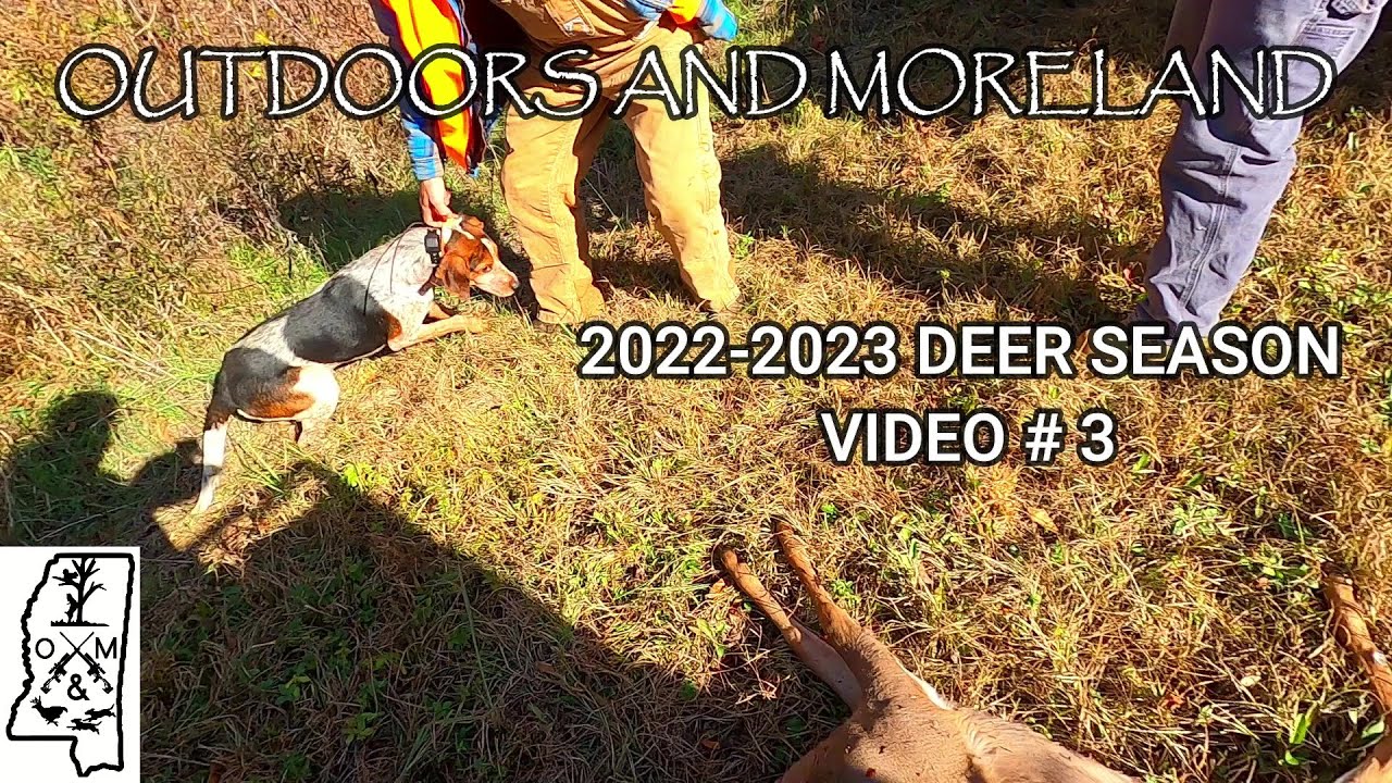 2022 Deer Dog season video # 3. Deer drive with dog #deerdog - YouTube