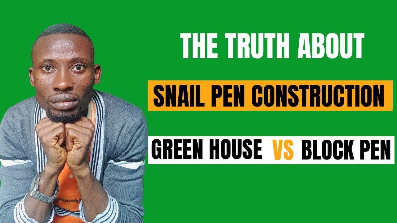 Best Pen Construction for Snail Farming | Snail Farming for Beginners # ...