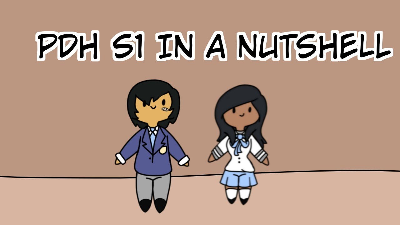 PDH S1 In a Nutshell - YouTube