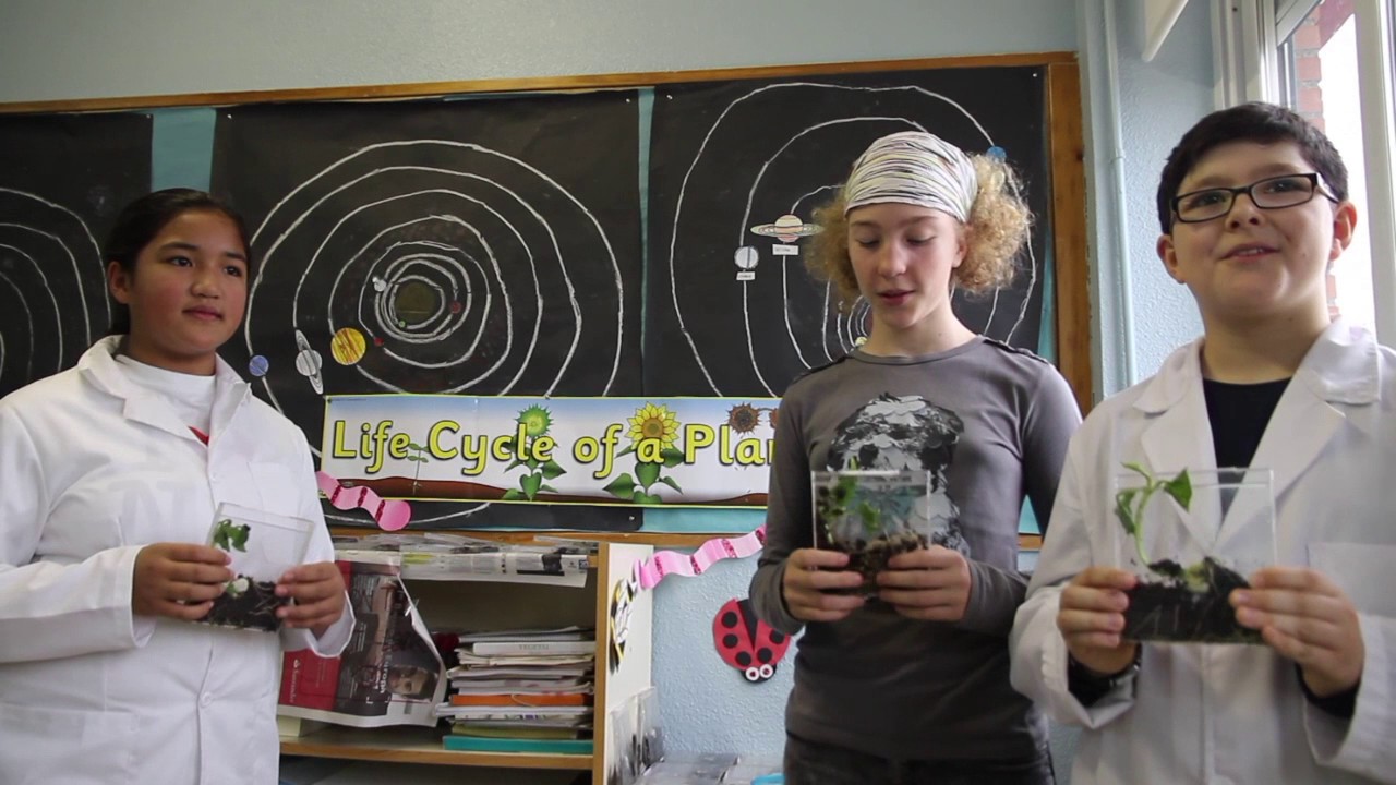 Super Kids Magic Bean´s project! - YouTube