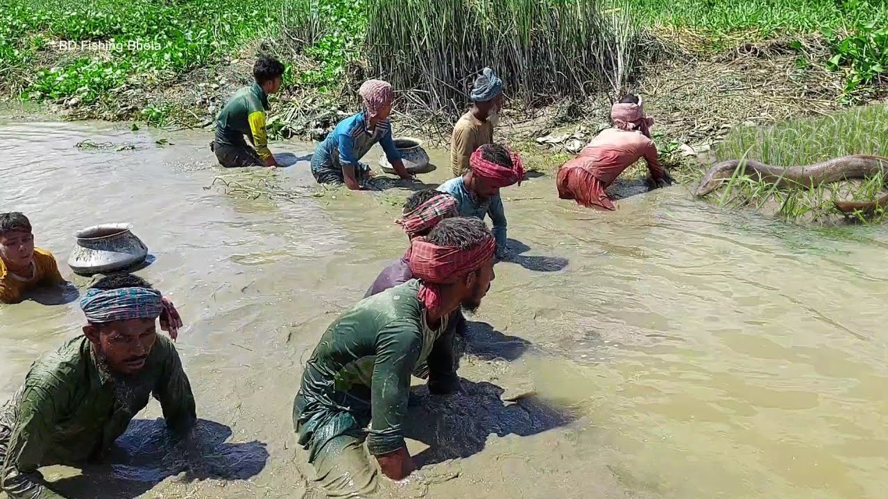Wow!Amazing Traditional Fishing Method in Village Canal||Hand Fishing ...