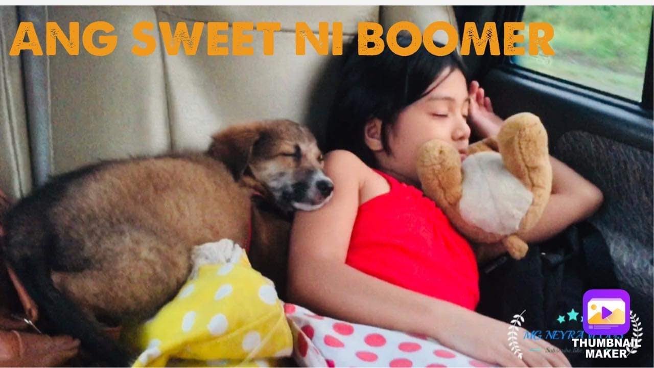 Sweet Boomer - YouTube