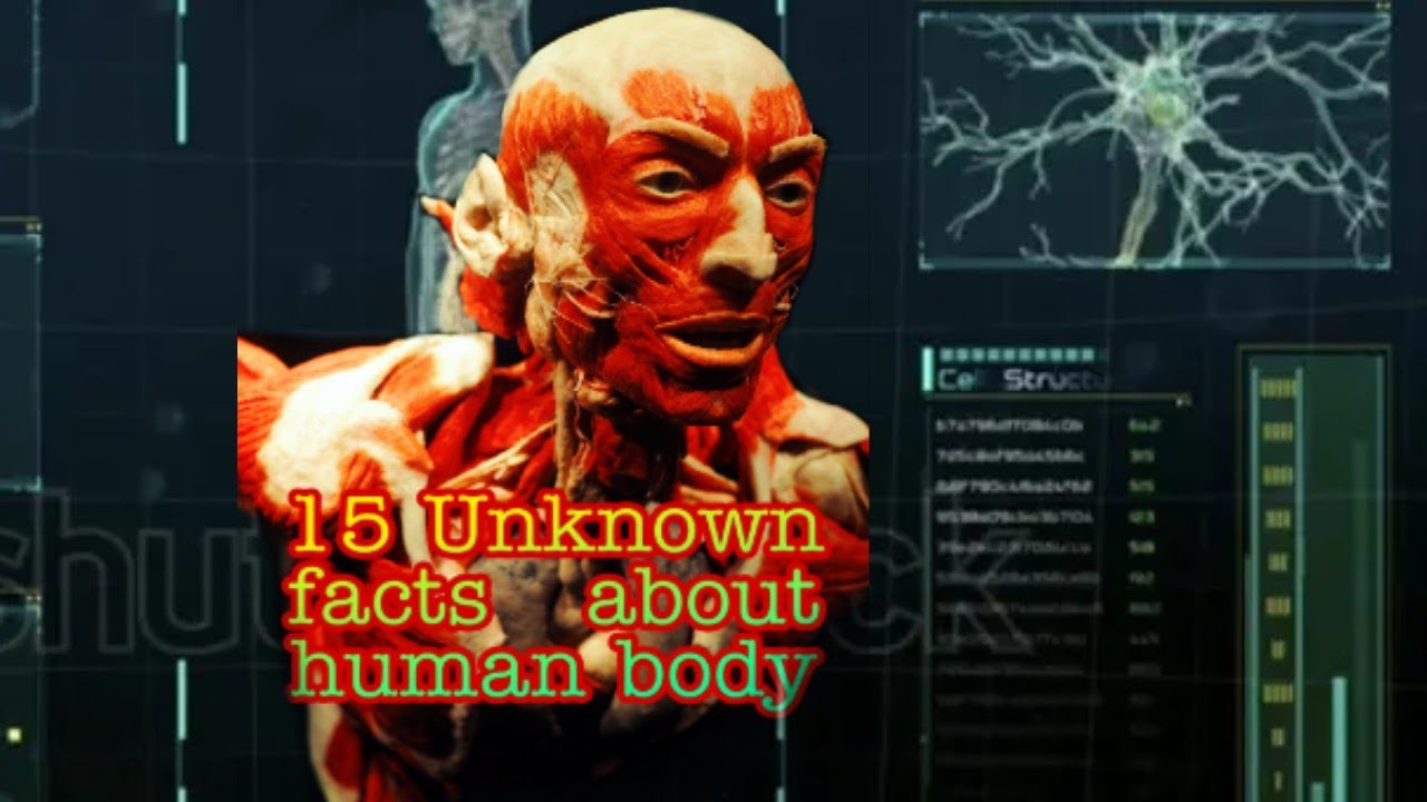 15 Unknown amazing facts about human body By Know The Facts - YouTube