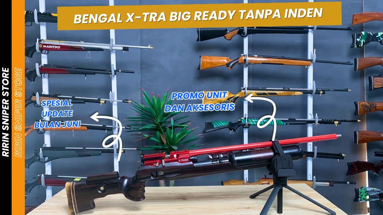 REVIEW EXTRA BIG BENGAL POPOR KAYU ️ BISA 100 up - YouTube