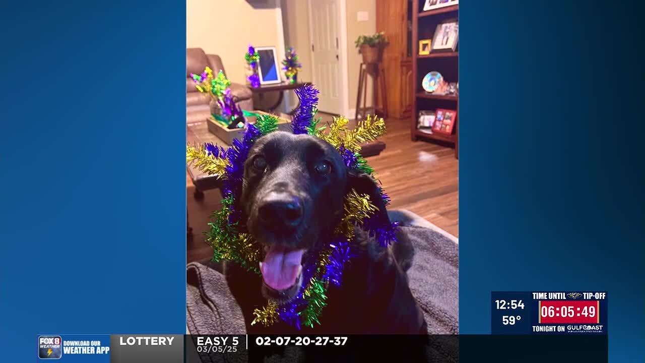 Pictures of the Day for Thursday, March 6 - YouTube