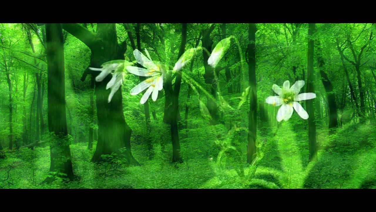 Slansky hrad - YouTube