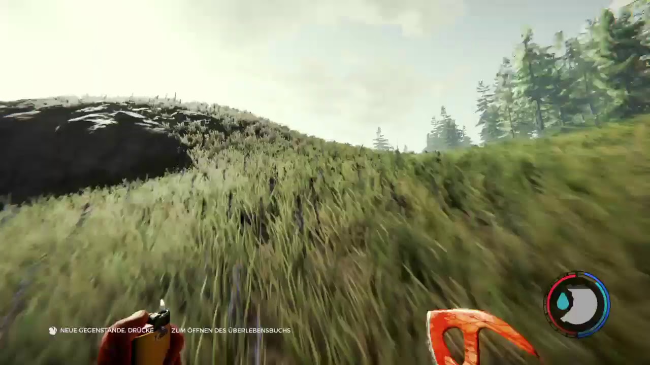 The forest Lauf forest lauf (german) - YouTube