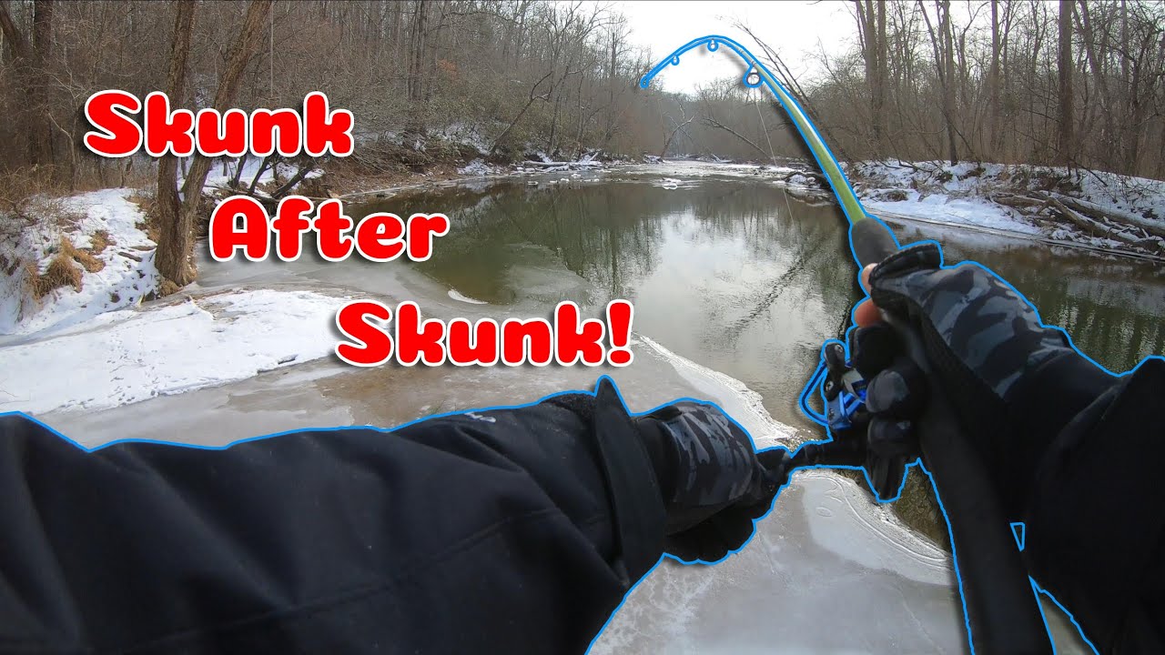 How Many Skunks?! Winter Creek Fishing - YouTube