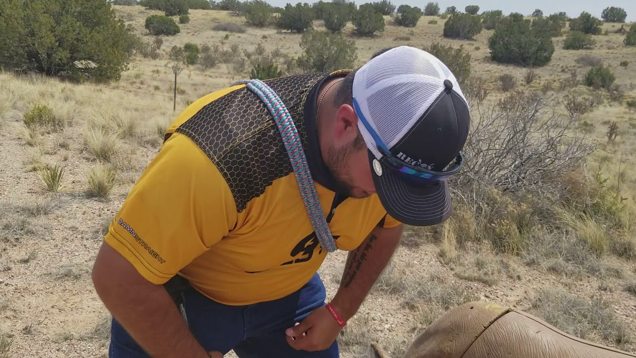 Victor explains - YouTube