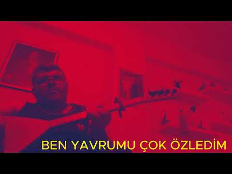 BEN YAVRUMU ÇOK ÖZLEDİM
