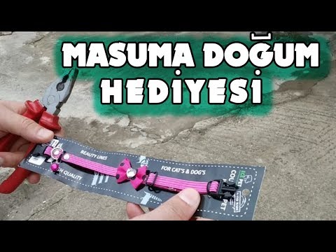 MASUM'A DOĞUM HEDİYESİ
