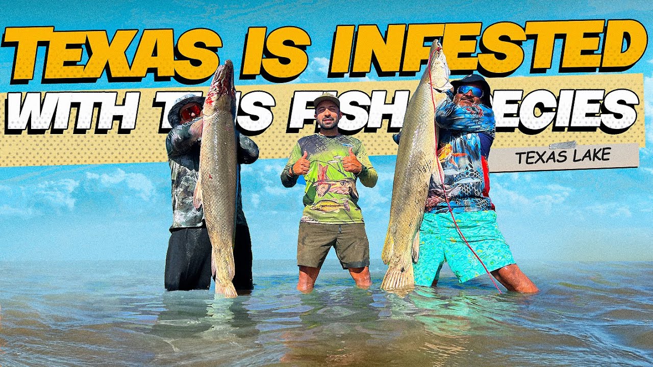Alligator Gar Frenzy: Fishing Texas Infested Waters - YouTube