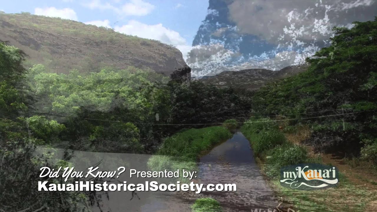 Did You Know - Waimea Bridge - YouTube