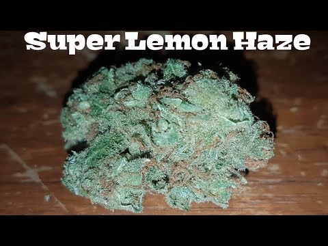Strain Review - Super Lemon Haze (Texada)
