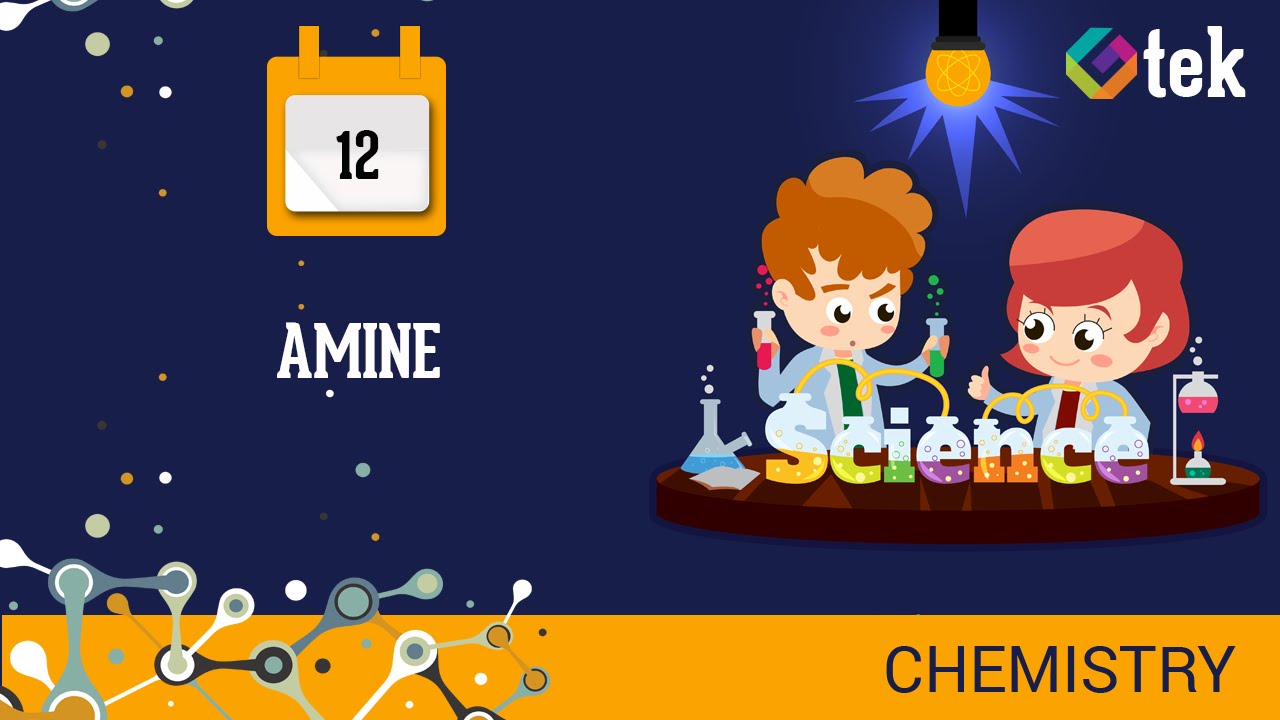 Amino Group | Amine Groups | Primary Amine | Secondary Amine | Nh2 ...