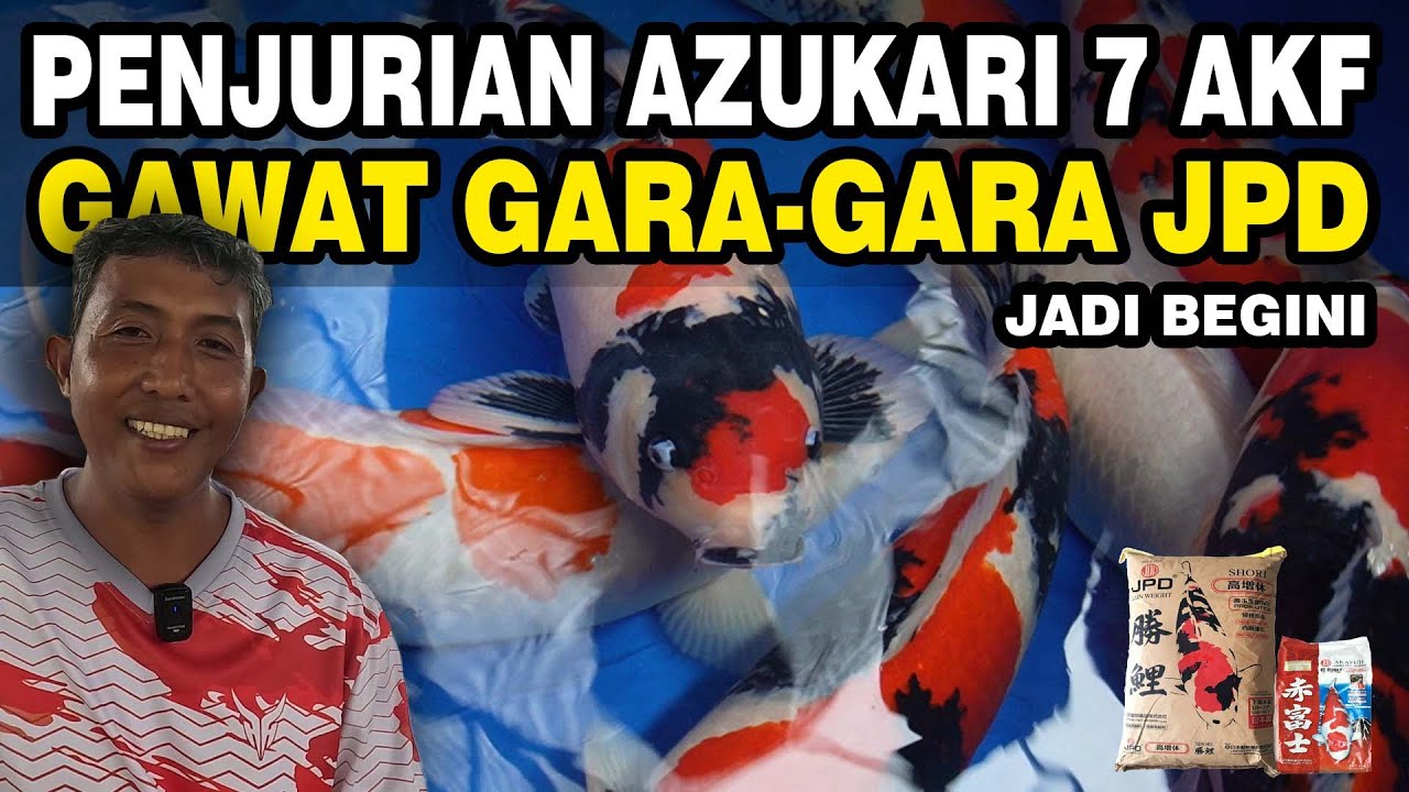 GARA GARA JPD PENJURIAN AZUKARI 7 AKF DILAKUKAN DI BAK TERPAL - YouTube