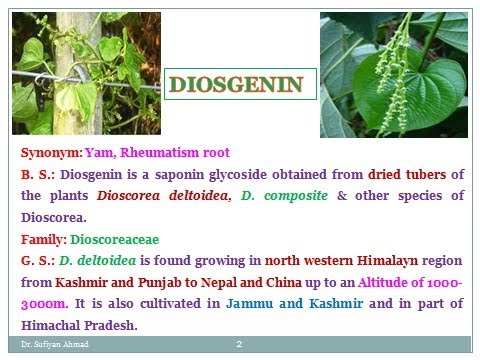 Industrial production estimation and utilization of Diosgenin ...