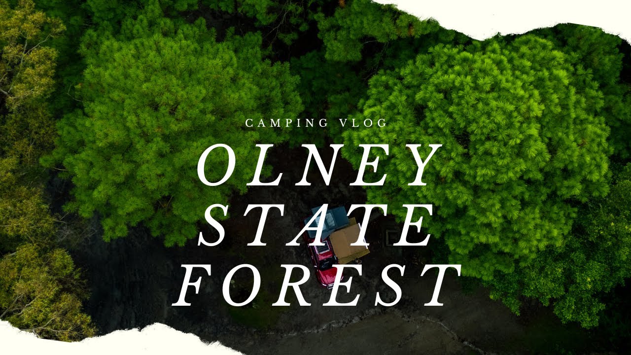 Camping in Olney State Forest - YouTube