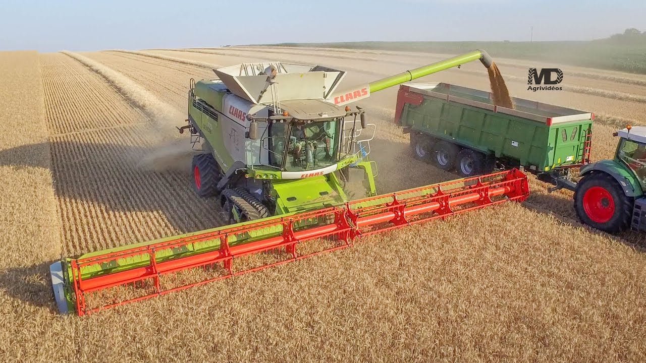 Claas Lexion 775 TT & coupe de 12m 🌾 Moisson 2019 - YouTube