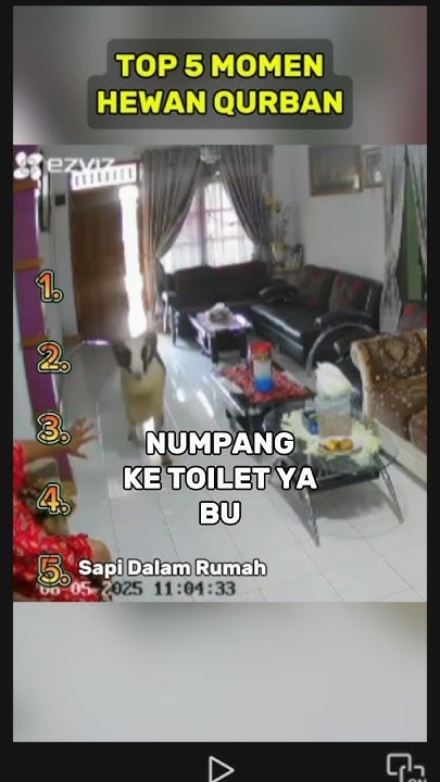 Kambing ini numpang ke toilet 😅 #funny #ngakak #lucu #shortviral #komedi - YouTube