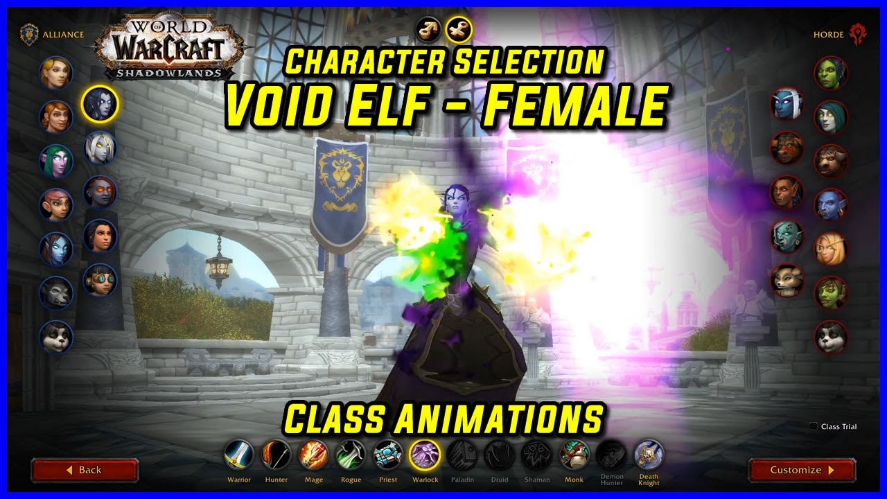 WoW Class Animations - Void Elf Female - WoW Shadowlands Character ...