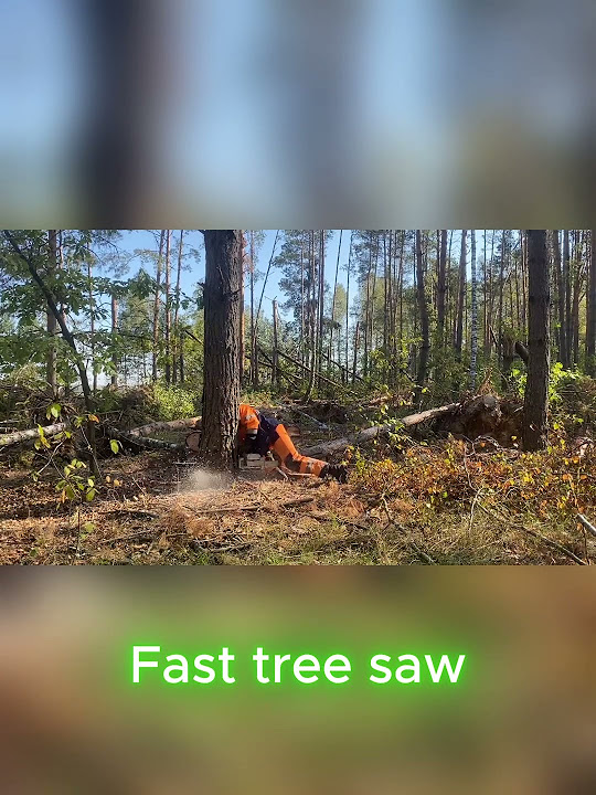 Fast Tree Saw #loggerwade #logstolumber #machines #logsaw #gianttrees # ...