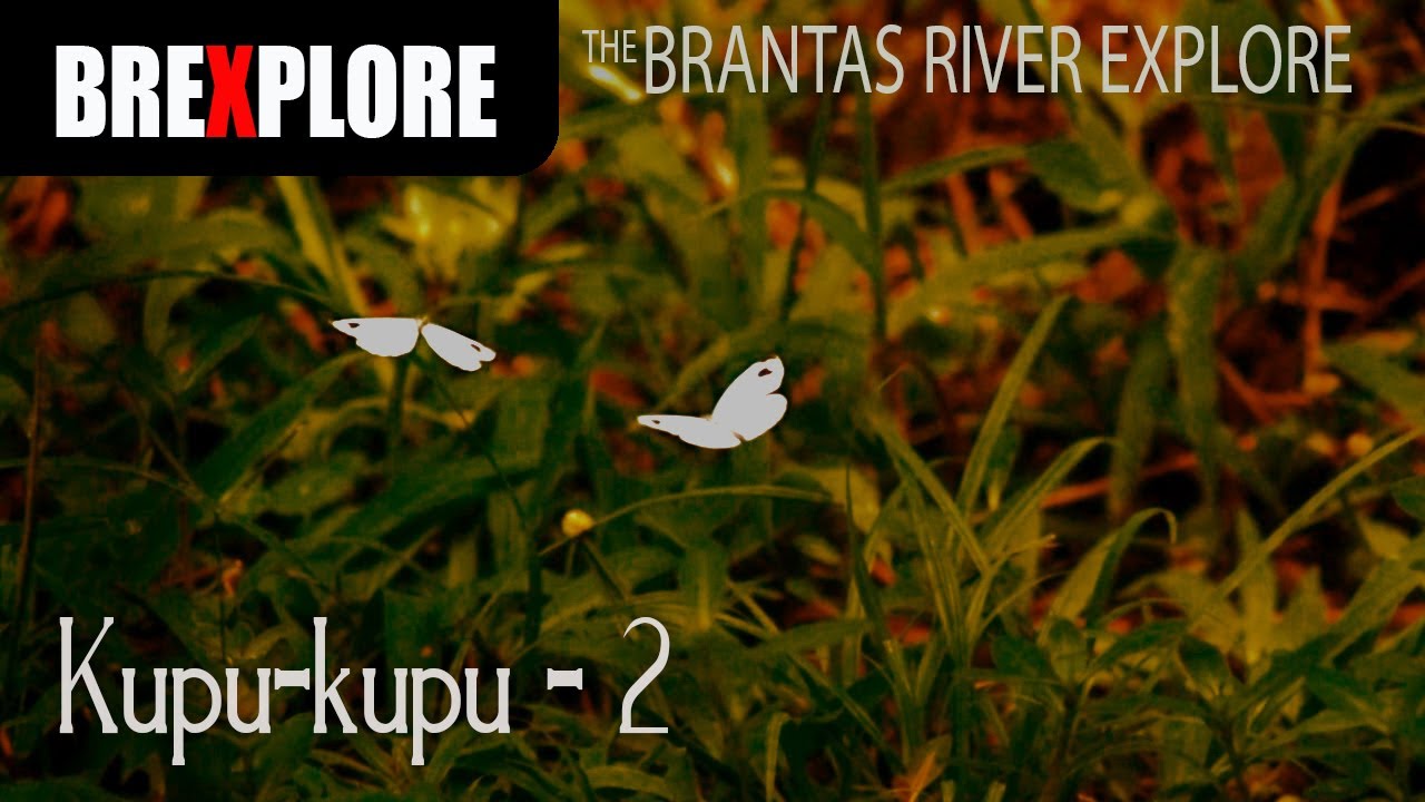 Kupu-kupu-2 I Brantas River Explore - YouTube