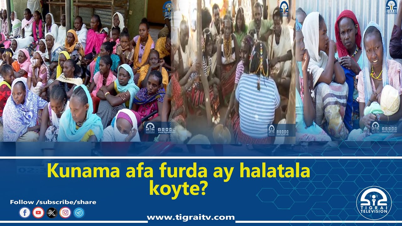 Kunama afa furda ay halatala koyte ? Tigrai_tv | #ቴሌቪዥን_ትግራይ - YouTube
