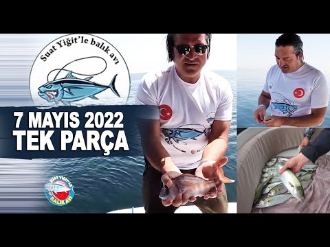 Suat Yiğit ile Balık Avı 7 Mayıs 2022 - İstanbul Boğazı Balık Avı