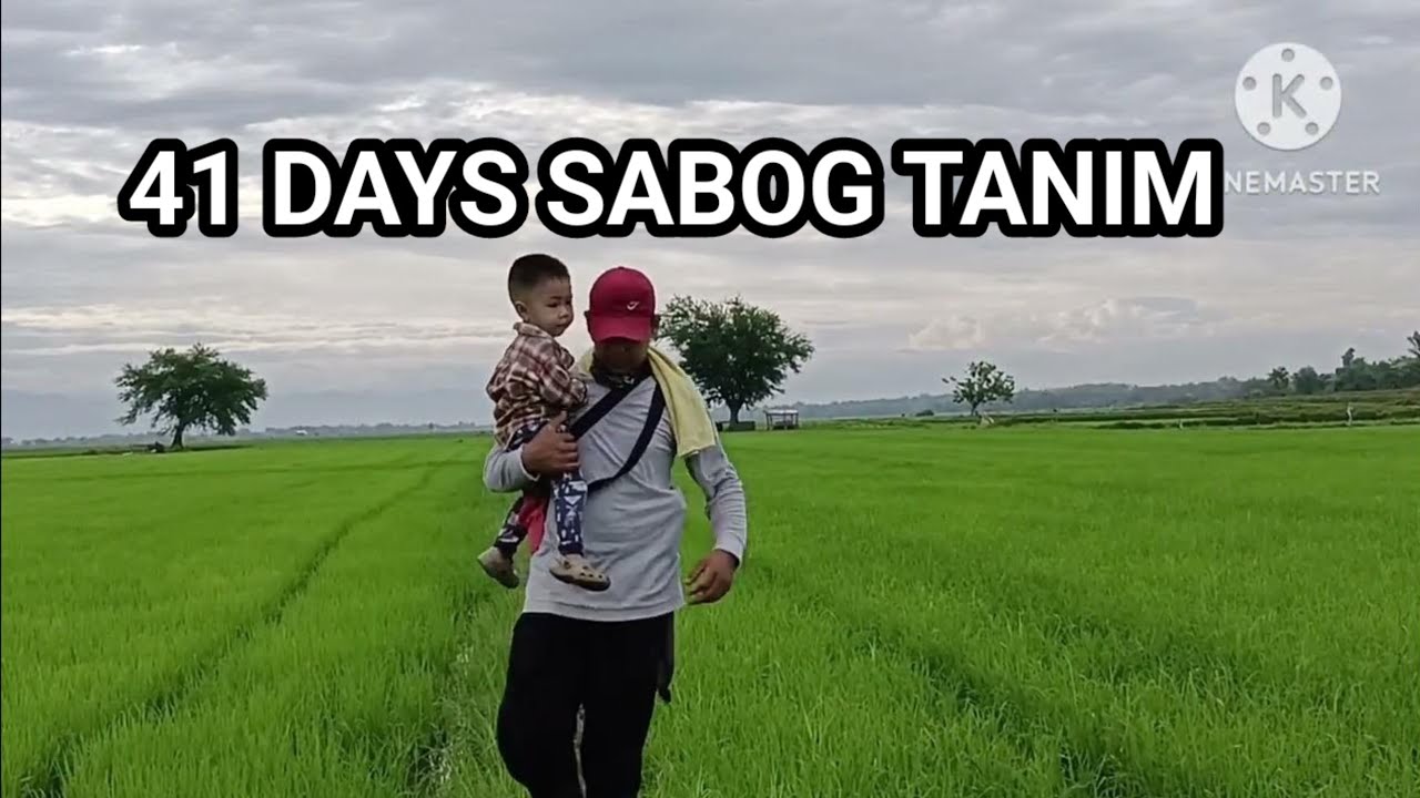 41 DAYS SABOG TANIM NA PALAY - YouTube