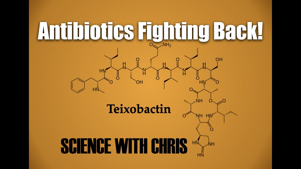 Teixobactin: The Newest Antibiotic on the Block - YouTube