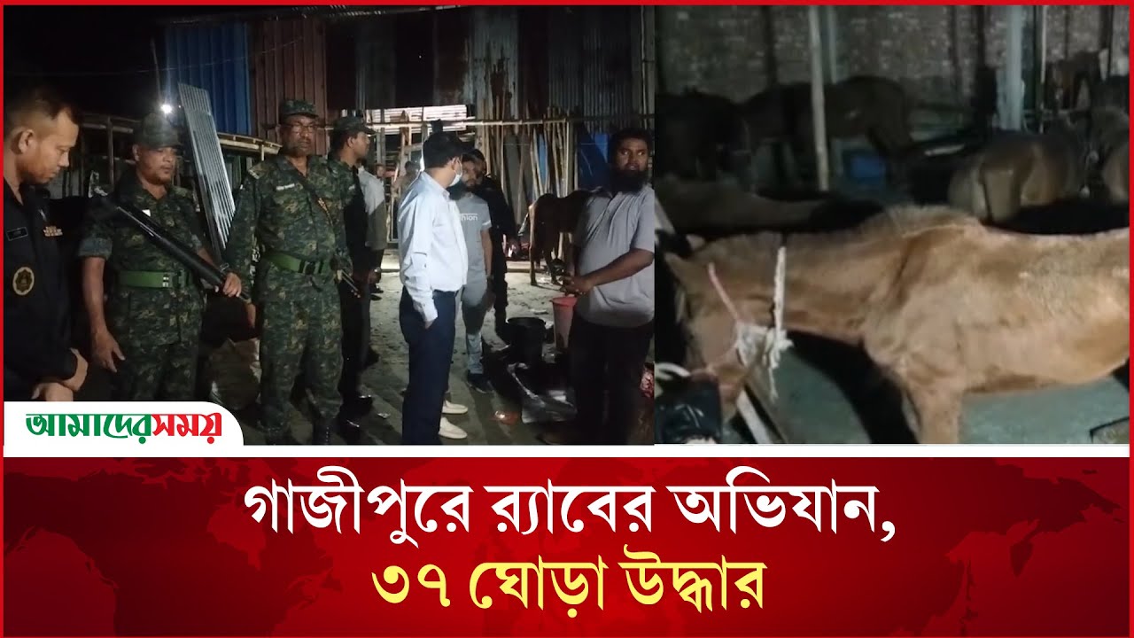 গাজীপুরে ৫ মণ মাংসসহ জীবিত ৩৭ ঘোড়া উদ্ধার | Horse Meat | Gazipur ...