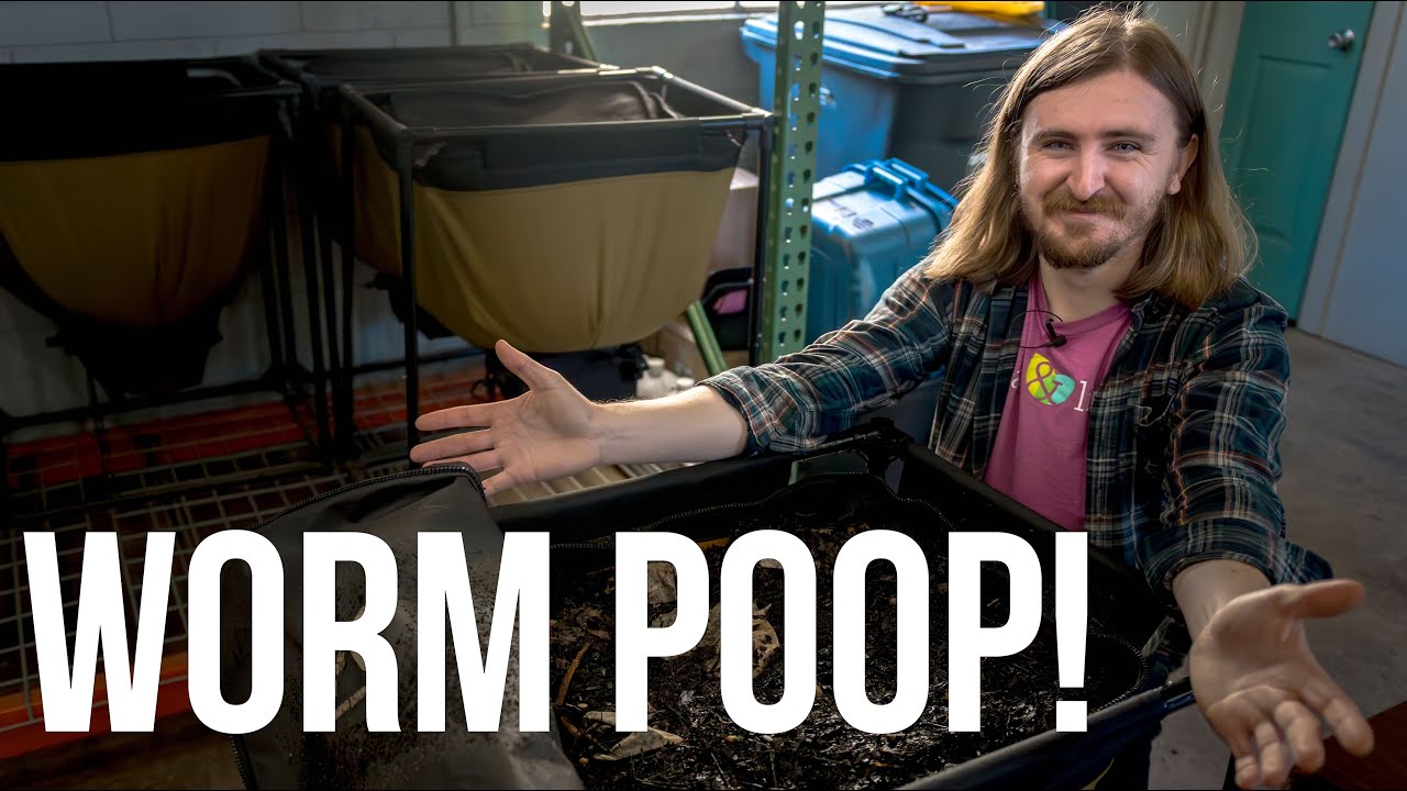 What's the Tea? The Secret Ingredient is Worm Poop!!!!!!!! - YouTube