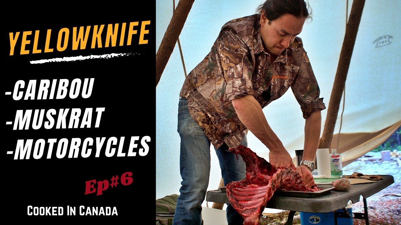 Yellowknife Motorcycle Adventure | Ep#6 - I Eat Muskrat & Caribou ...