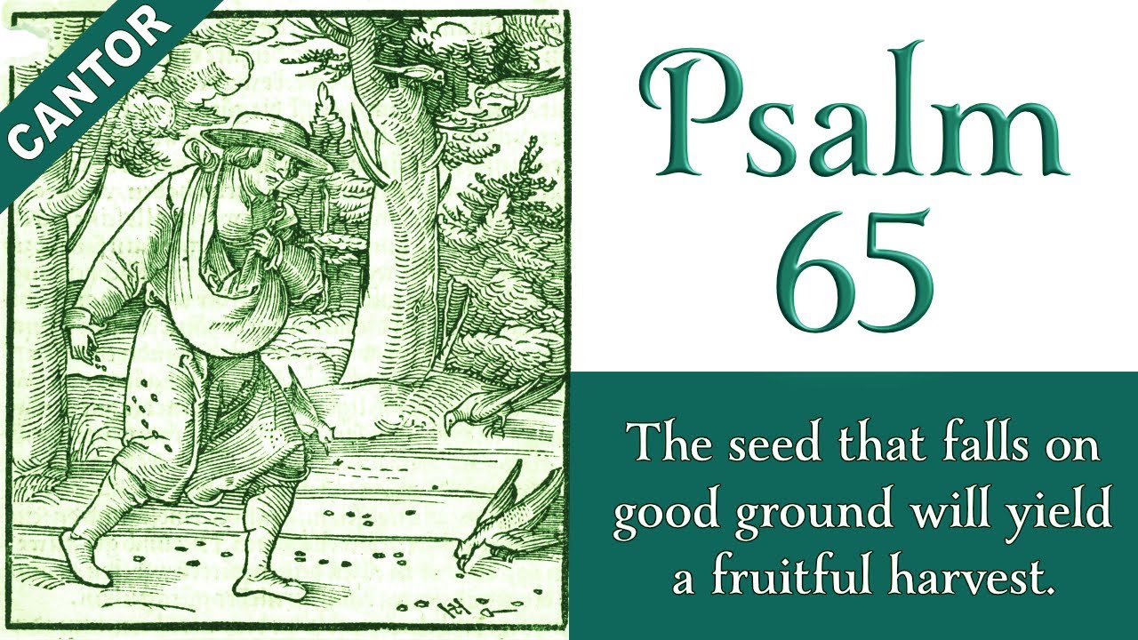 Psalm 65 • The seed that falls on good ground will yield a fruitful ...